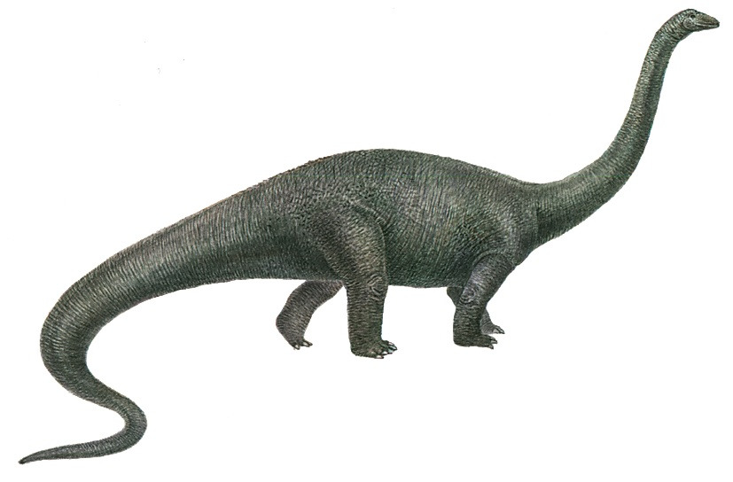 diplodokai - Visuotinė lietuvių enciklopedija