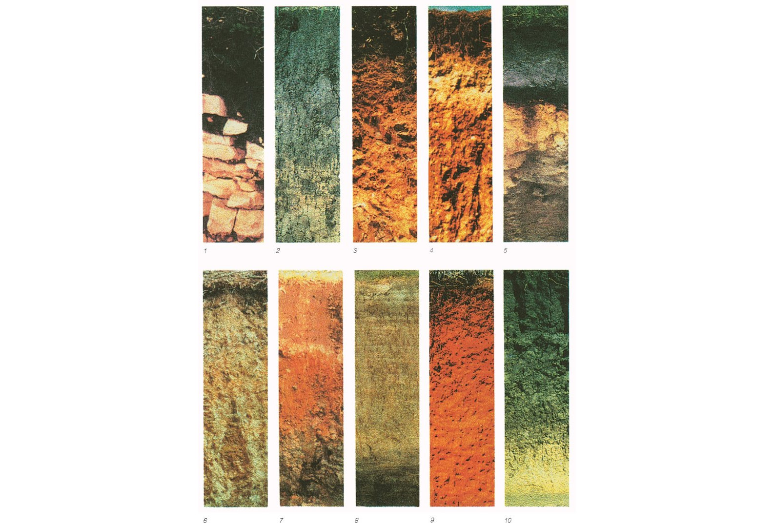 dirvožemis - Visuotinė lietuvių enciklopedija