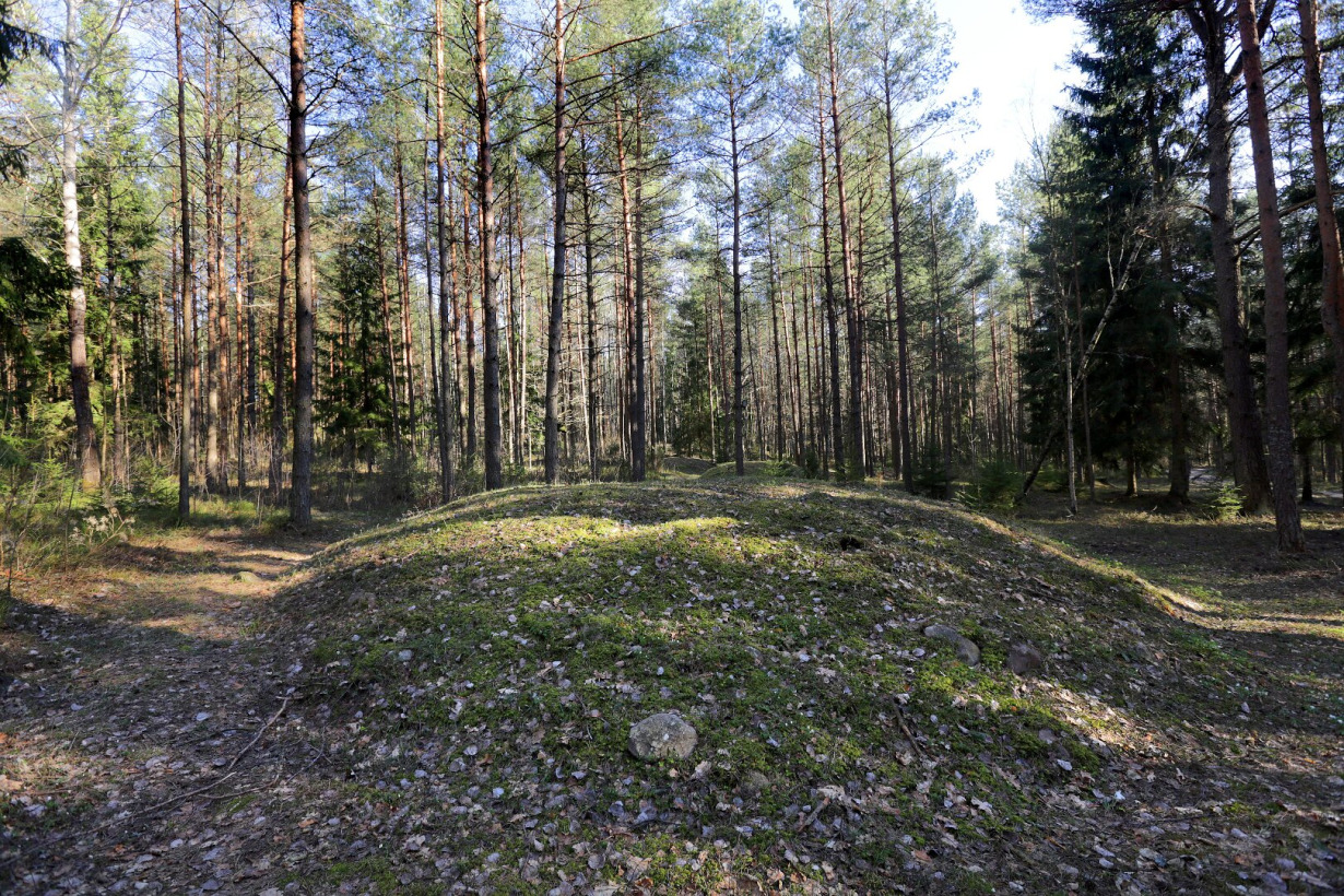 Poškonių pilkapynas - Visuotinė lietuvių enciklopedija