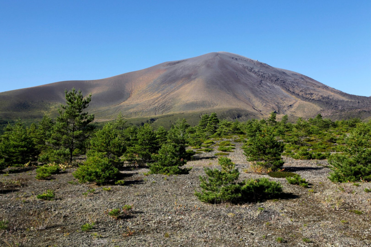 Asama - Visuotinė lietuvių enciklopedija