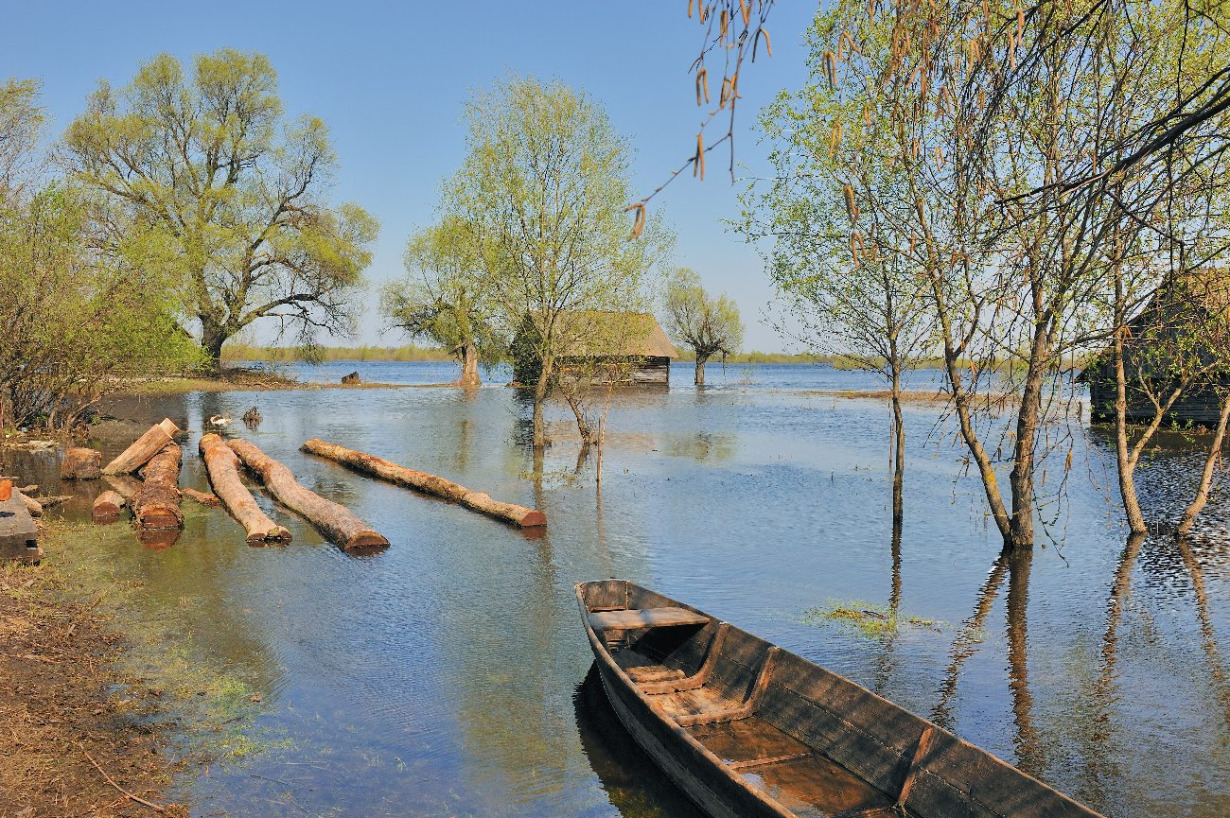 potvynis - Visuotinė lietuvių enciklopedija