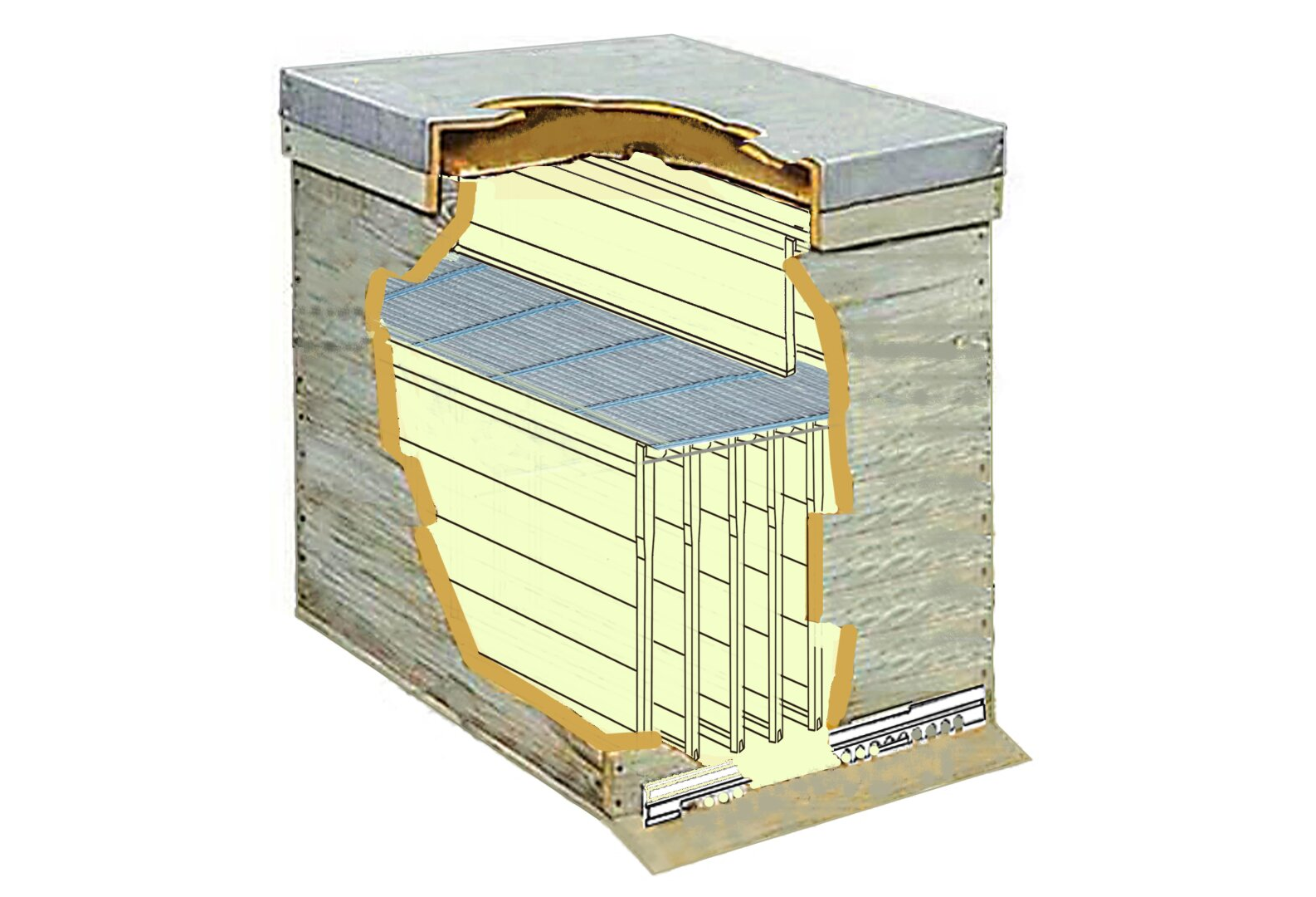 avilys - Visuotinė lietuvių enciklopedija