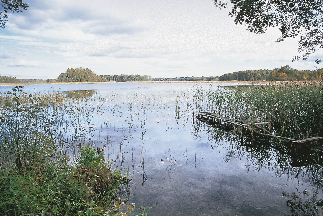 Avilys - Visuotinė lietuvių enciklopedija