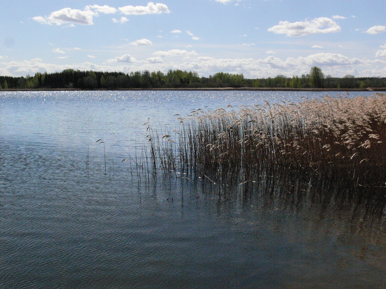 Pravalas - Visuotinė lietuvių enciklopedija