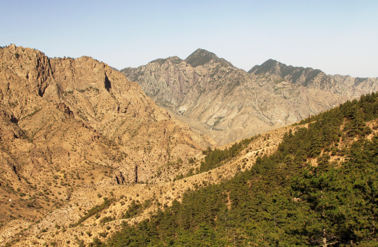 Alašan - Visuotinė lietuvių enciklopedija