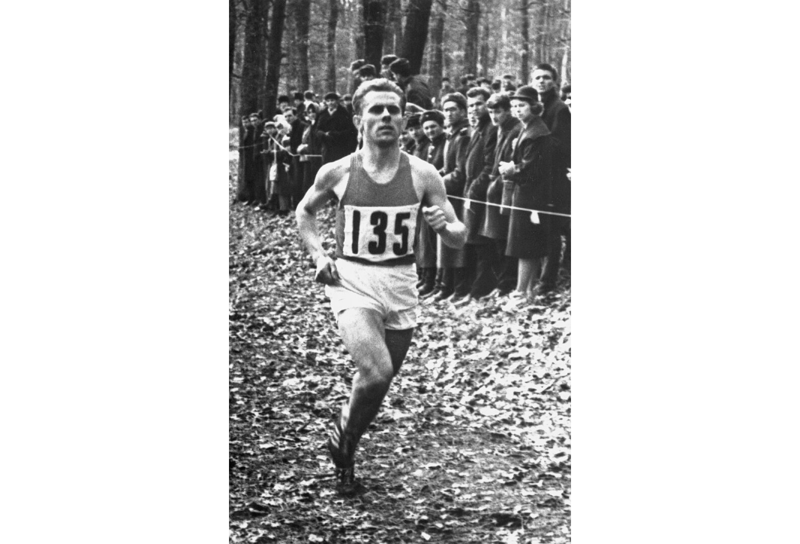 Adolfas Aleksejūnas - Visuotinė lietuvių enciklopedija