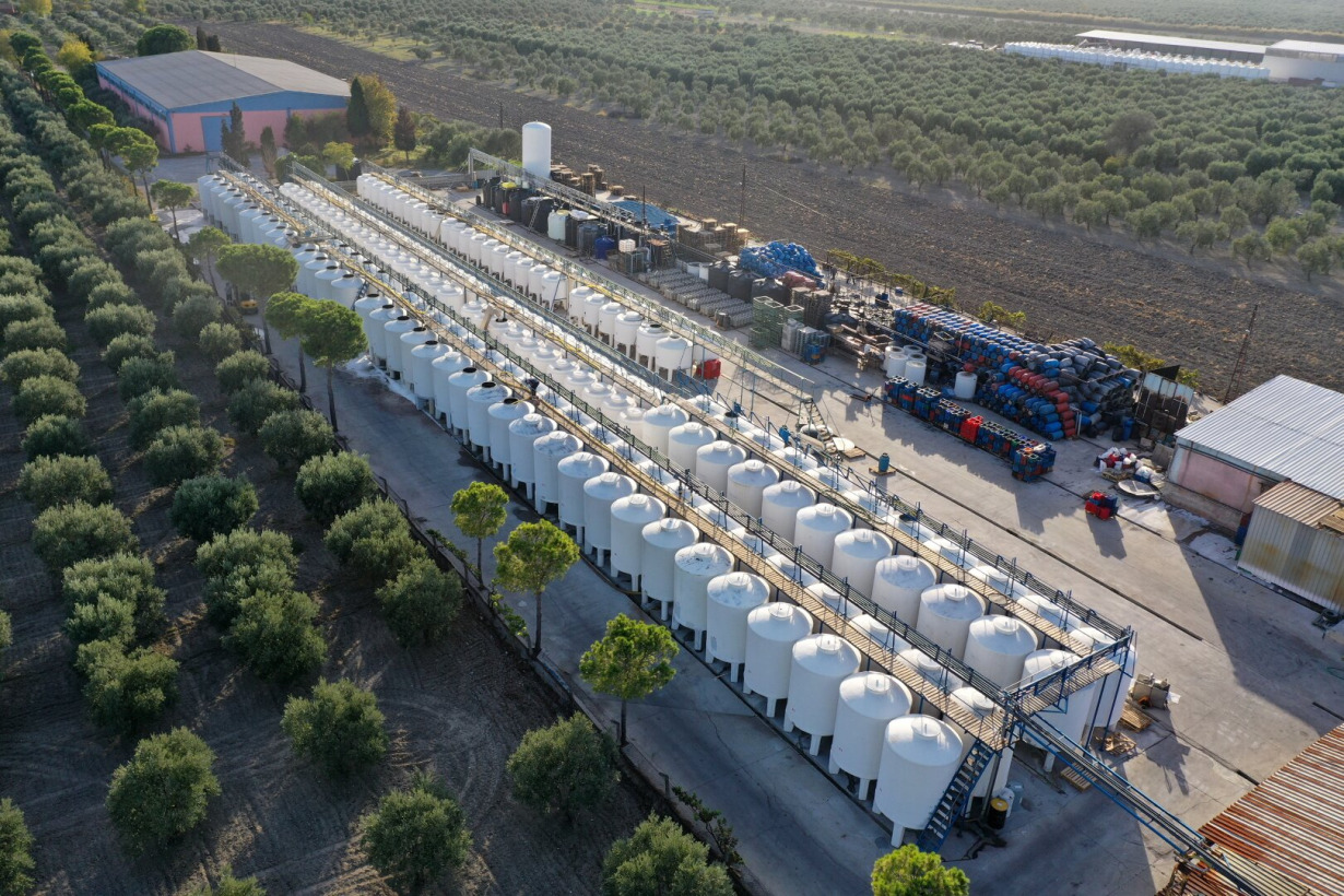 aliejaus pramonė - Visuotinė lietuvių enciklopedija