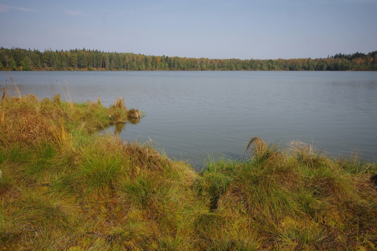 Alionių pelkė - Visuotinė lietuvių enciklopedija