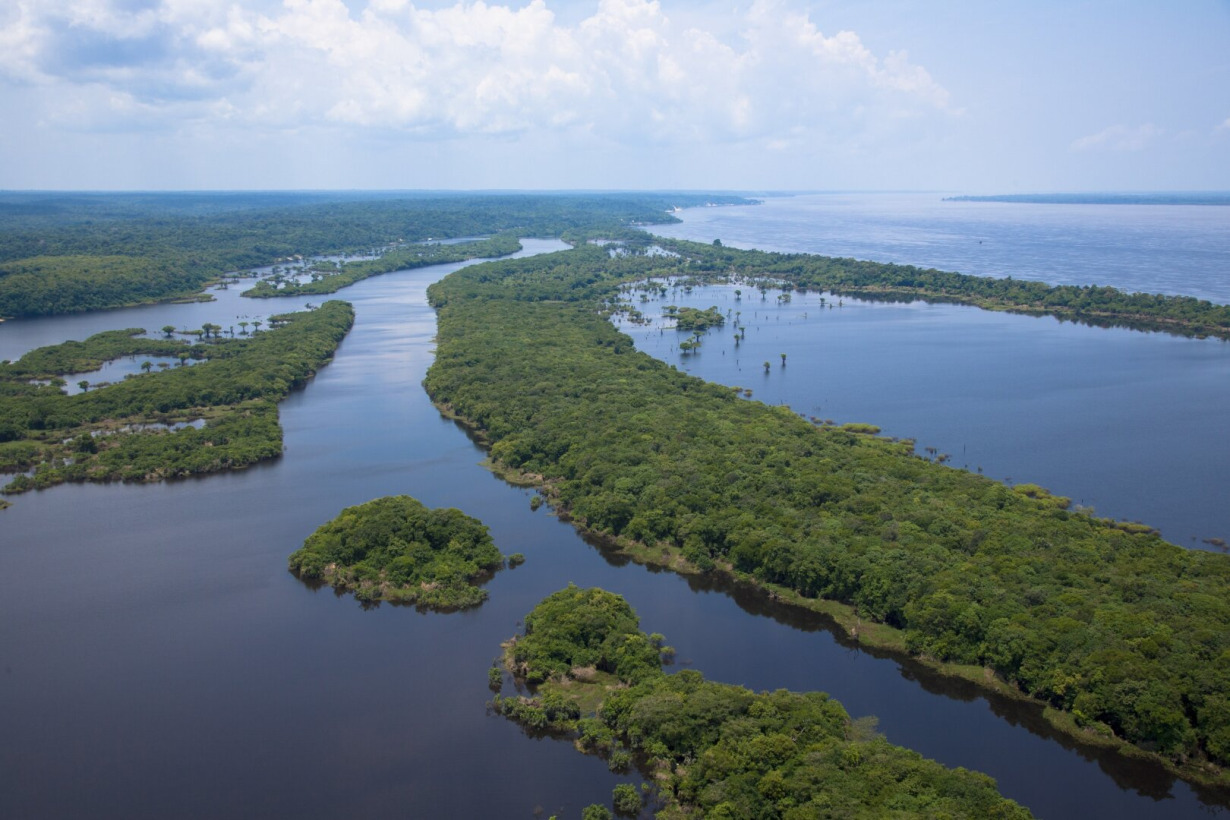 Amazonė - Visuotinė lietuvių enciklopedija