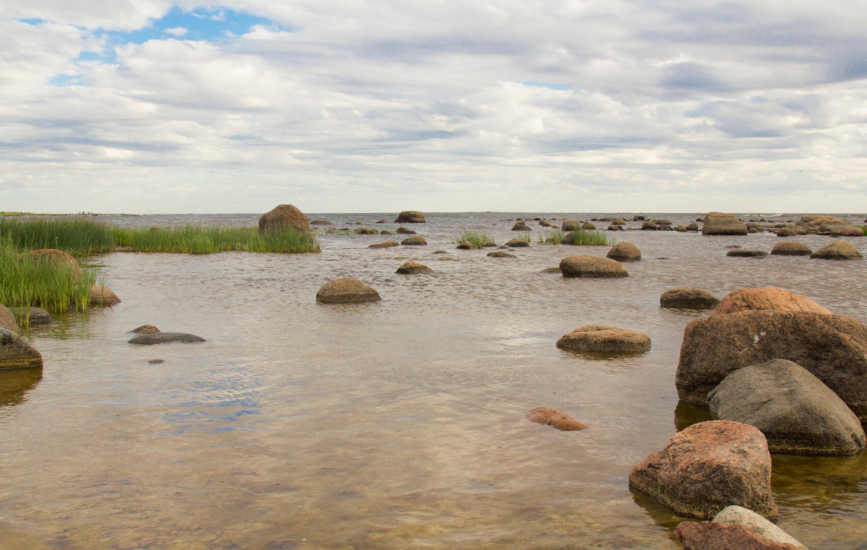 Narvos įlanka - Visuotinė lietuvių enciklopedija
