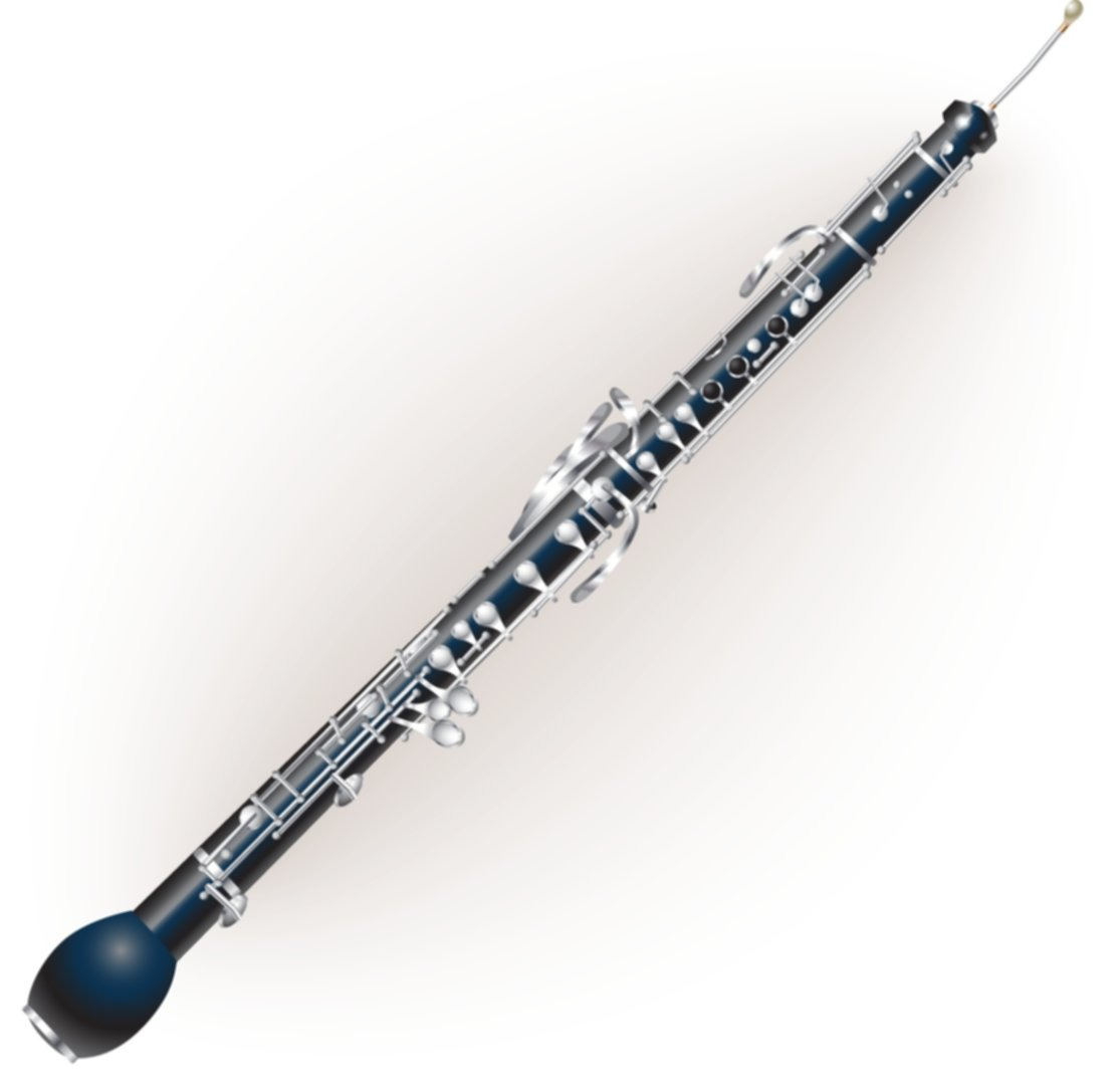 anglų ragas - Visuotinė lietuvių enciklopedija