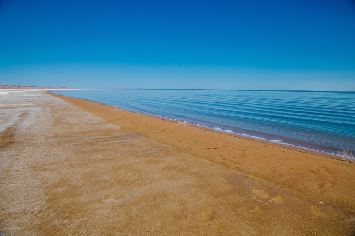 Aralas - Visuotinė lietuvių enciklopedija