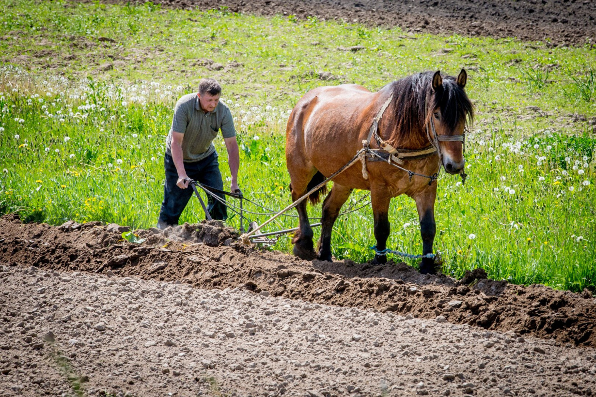 arimas - Visuotinė lietuvių enciklopedija