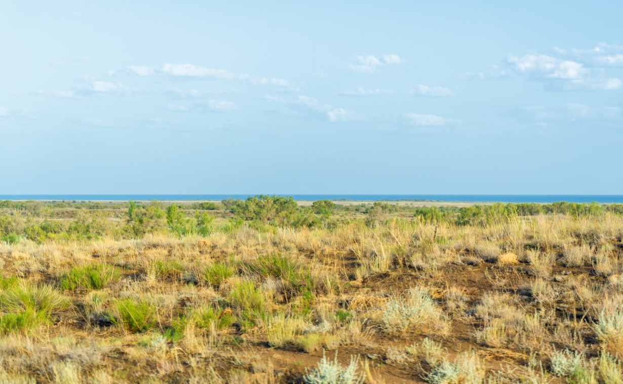 prerija - Visuotinė lietuvių enciklopedija