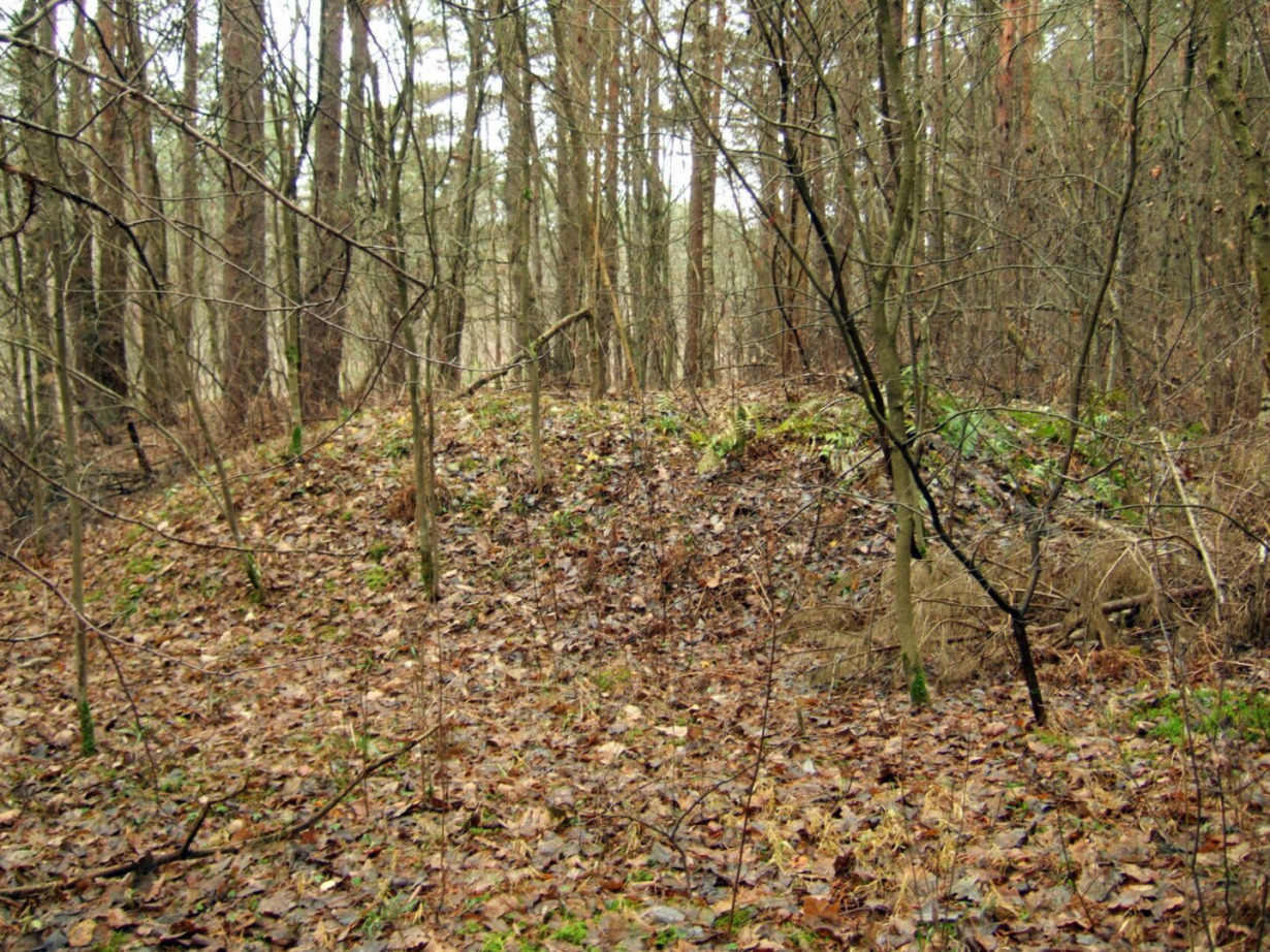 Pučkalaukio pilkapynas - Visuotinė lietuvių enciklopedija