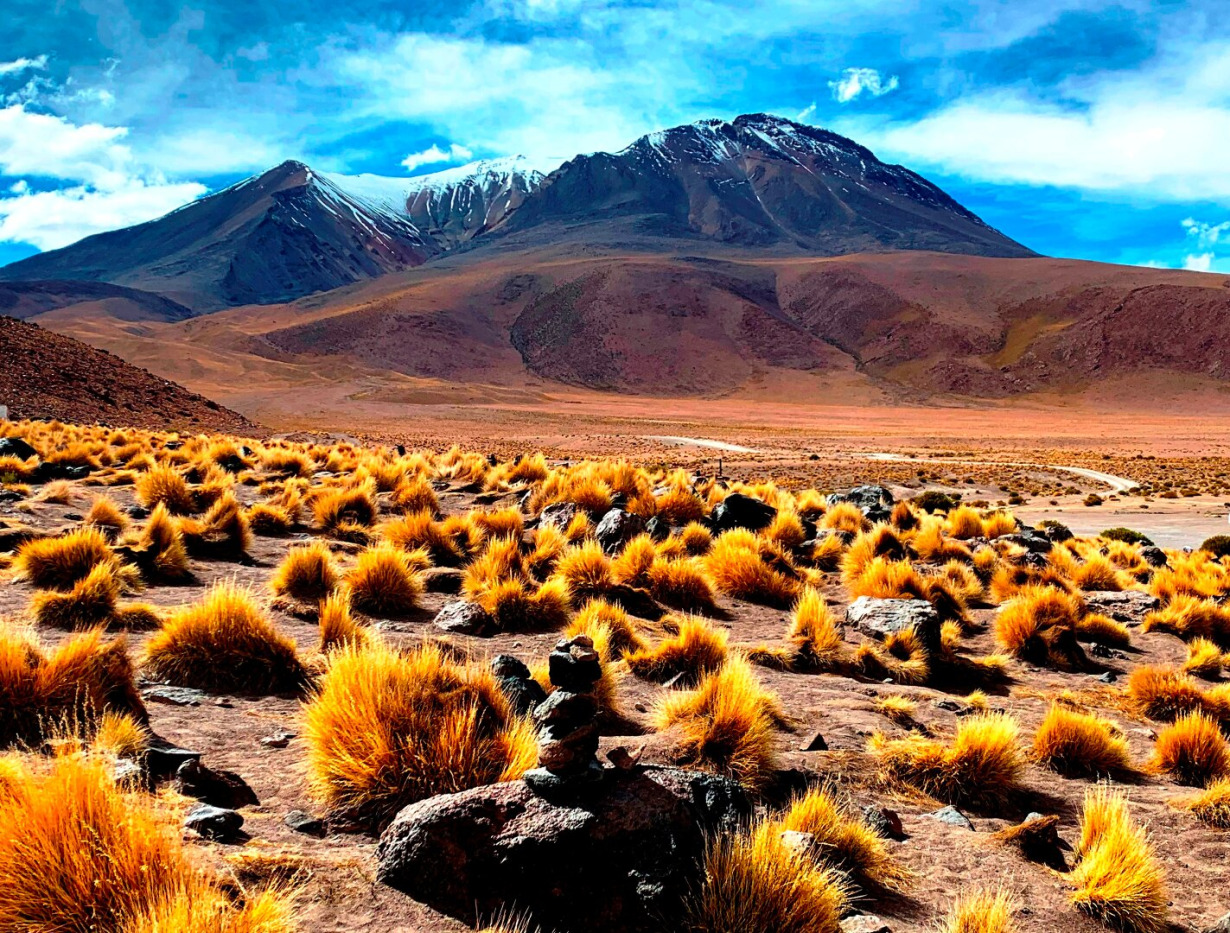 Puna - Visuotinė lietuvių enciklopedija