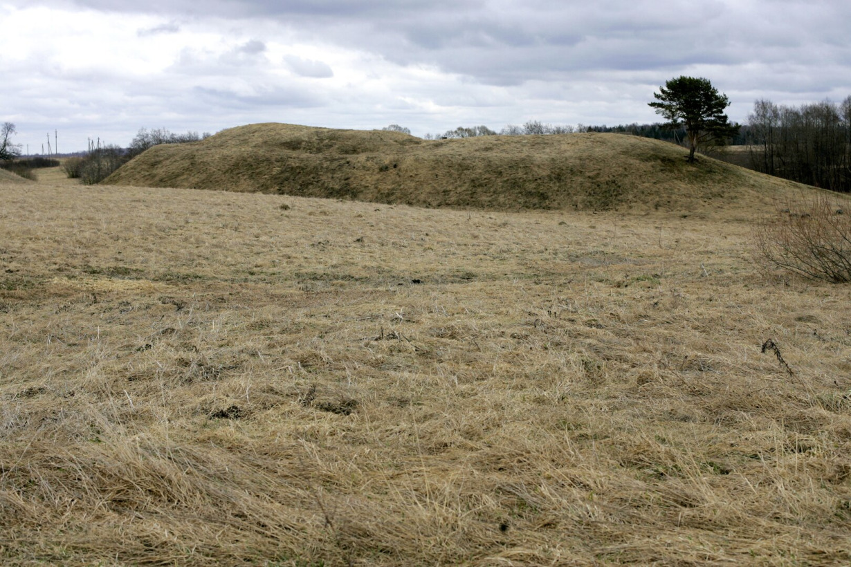 Raginėnų pilkapynai ir piliakalnis - Visuotinė lietuvių enciklopedija