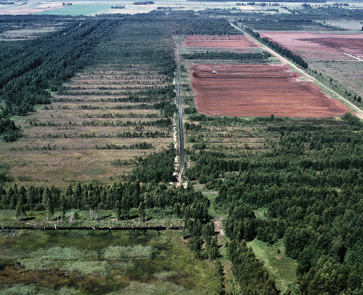 Rėkyvos pelkė - Visuotinė lietuvių enciklopedija