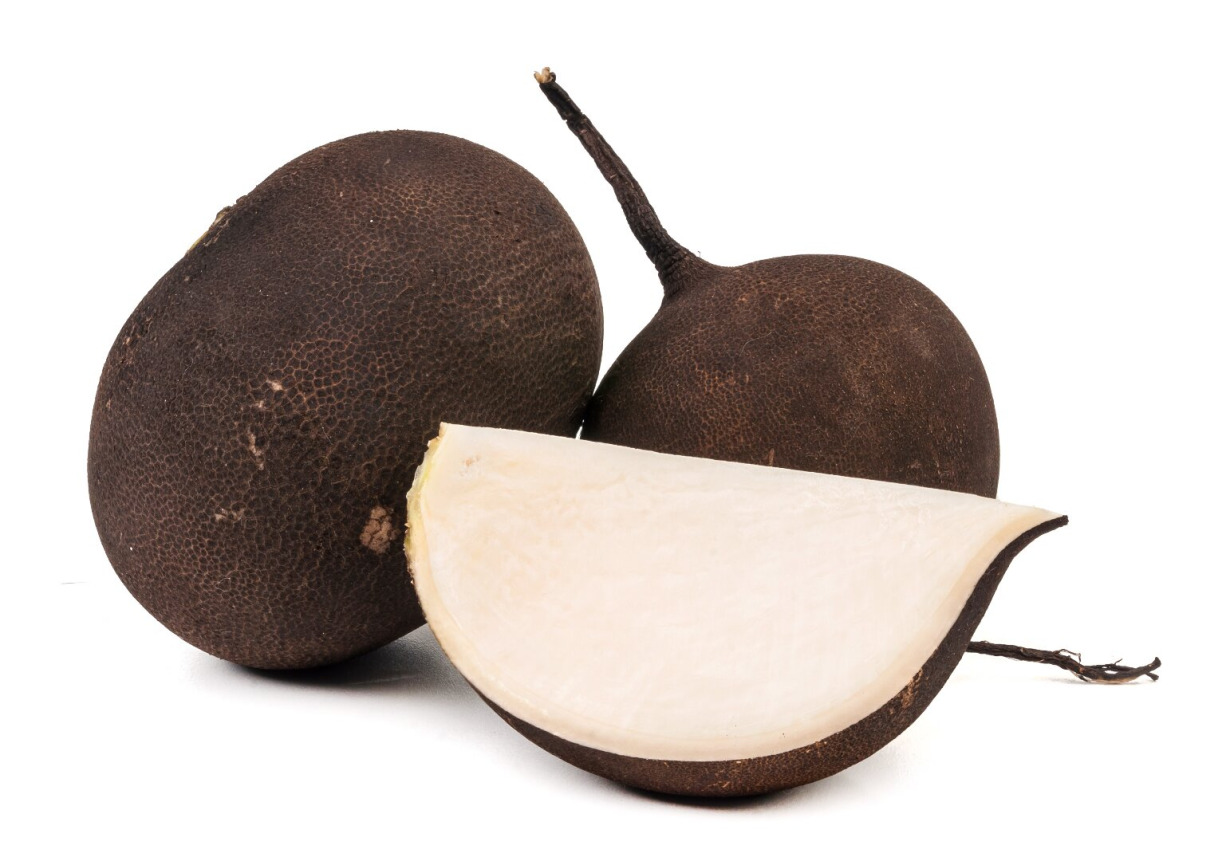 ridikai - Visuotinė lietuvių enciklopedija