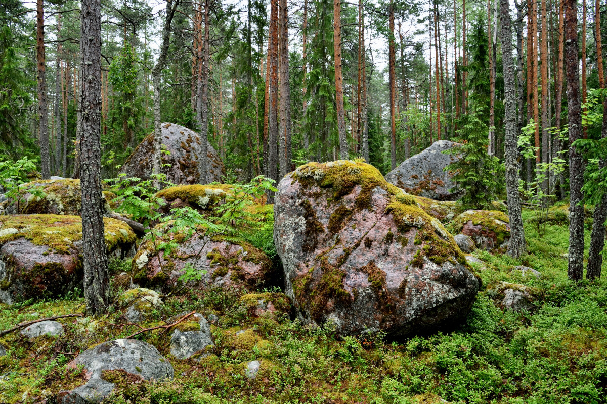 rieduliai - Visuotinė lietuvių enciklopedija