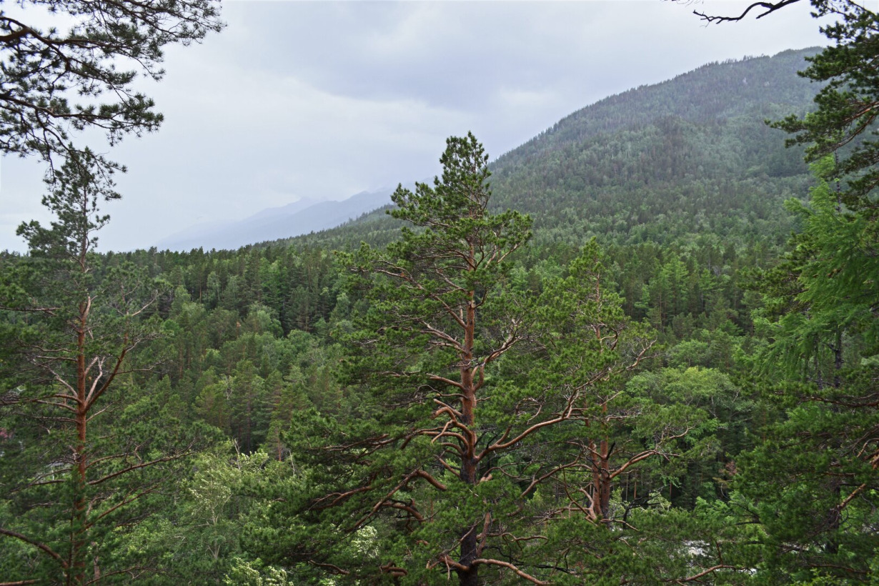 Rytų Sibiras - Visuotinė lietuvių enciklopedija
