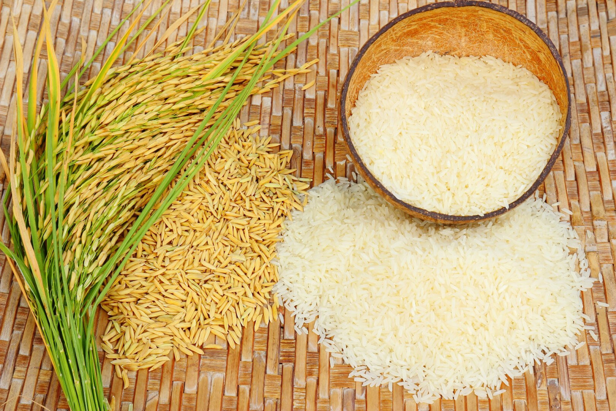 ryžiai - Visuotinė lietuvių enciklopedija