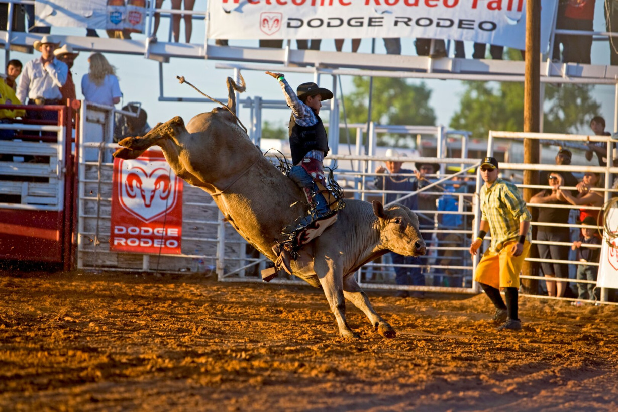 rodeo - Visuotinė lietuvių enciklopedija