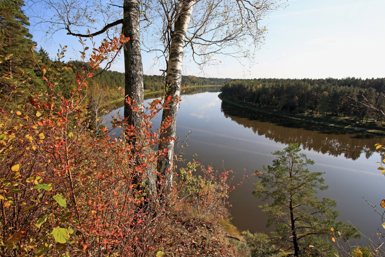 Nemunas - Visuotinė lietuvių enciklopedija