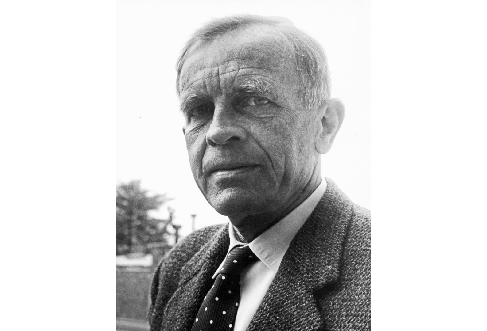 Wilhelm Röpke - Visuotinė lietuvių enciklopedija