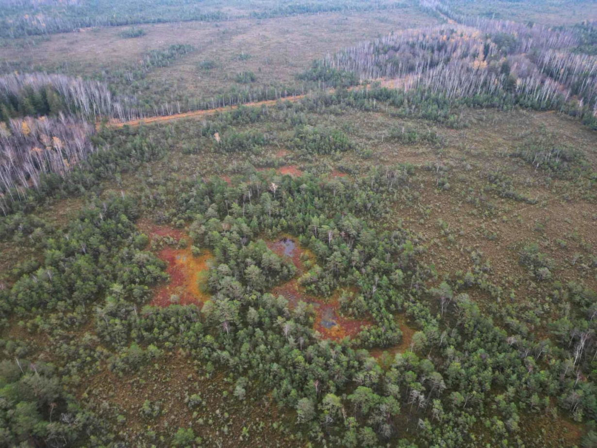 Rupkalvių pelkė - Visuotinė lietuvių enciklopedija