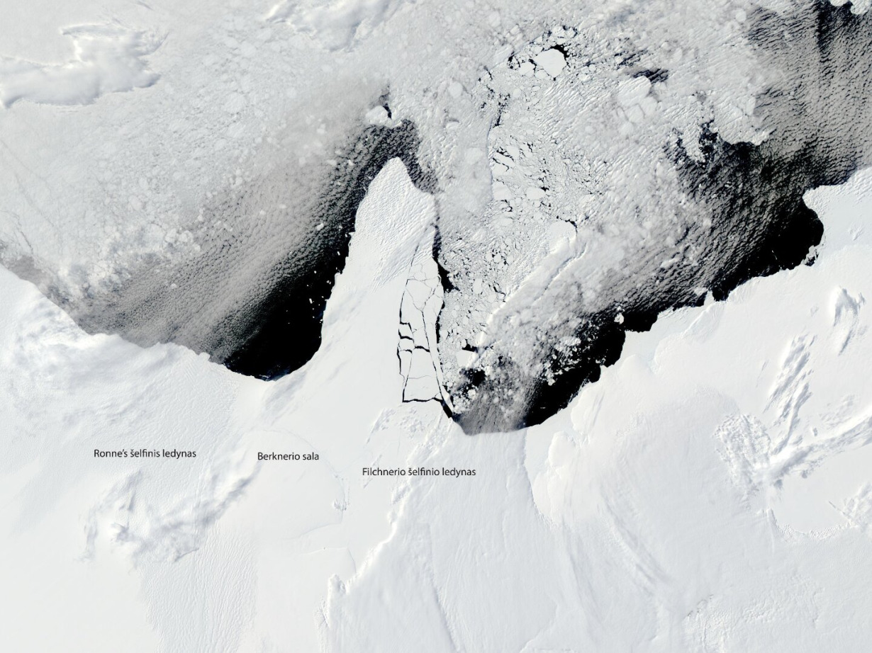 Filchnerio–Ronne’s šelfinis ledynas - Visuotinė lietuvių enciklopedija