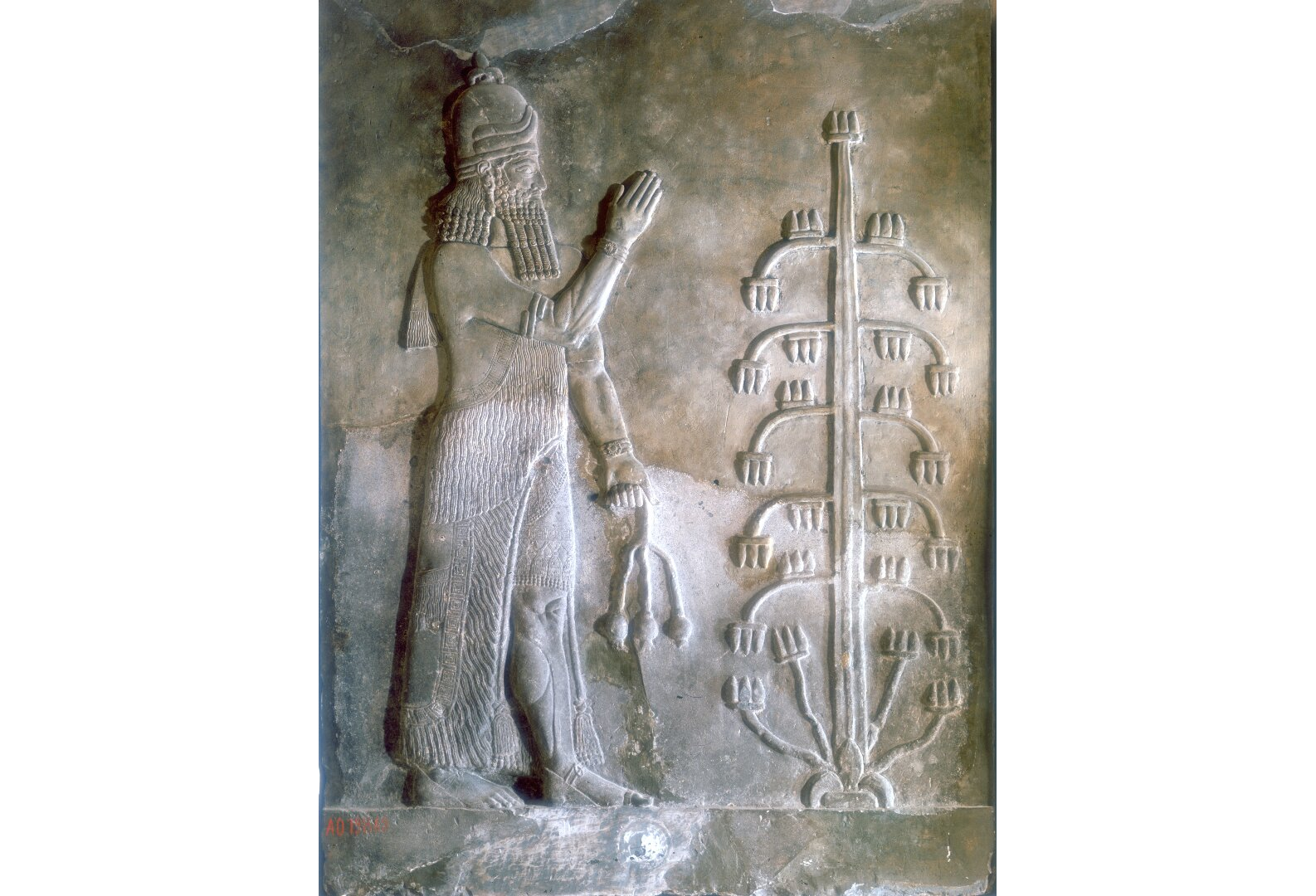 Sargonas Senasis - Visuotinė lietuvių enciklopedija