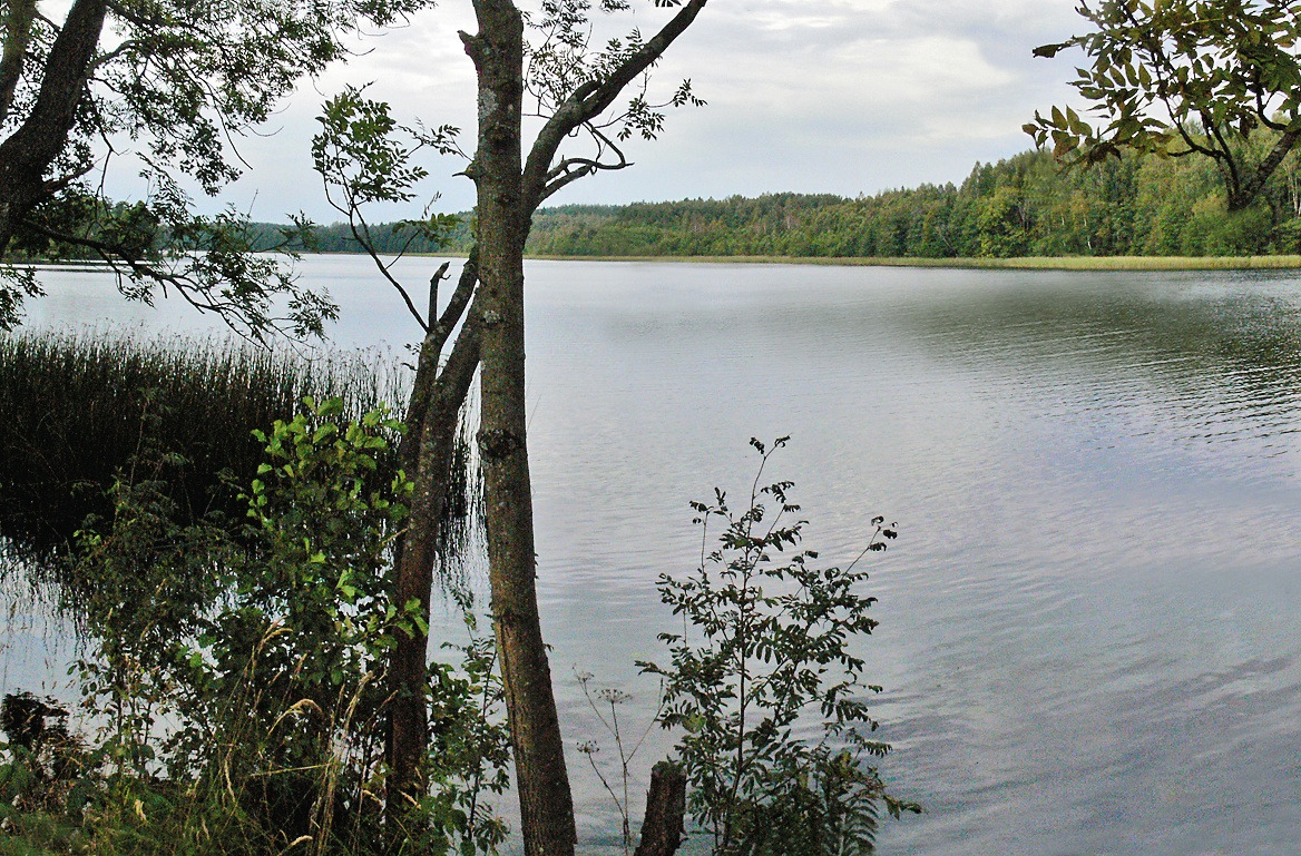 Sarių ežeras - Visuotinė lietuvių enciklopedija