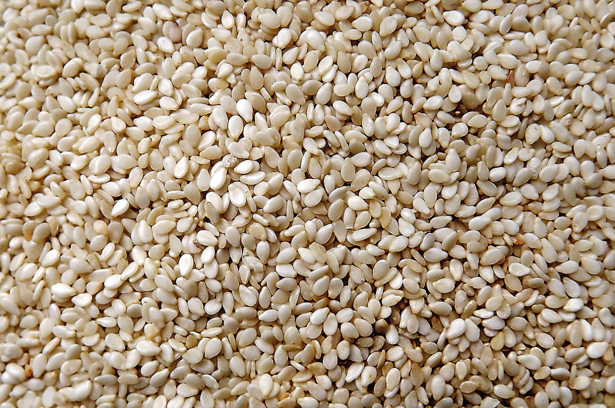 sezamas - Visuotinė lietuvių enciklopedija