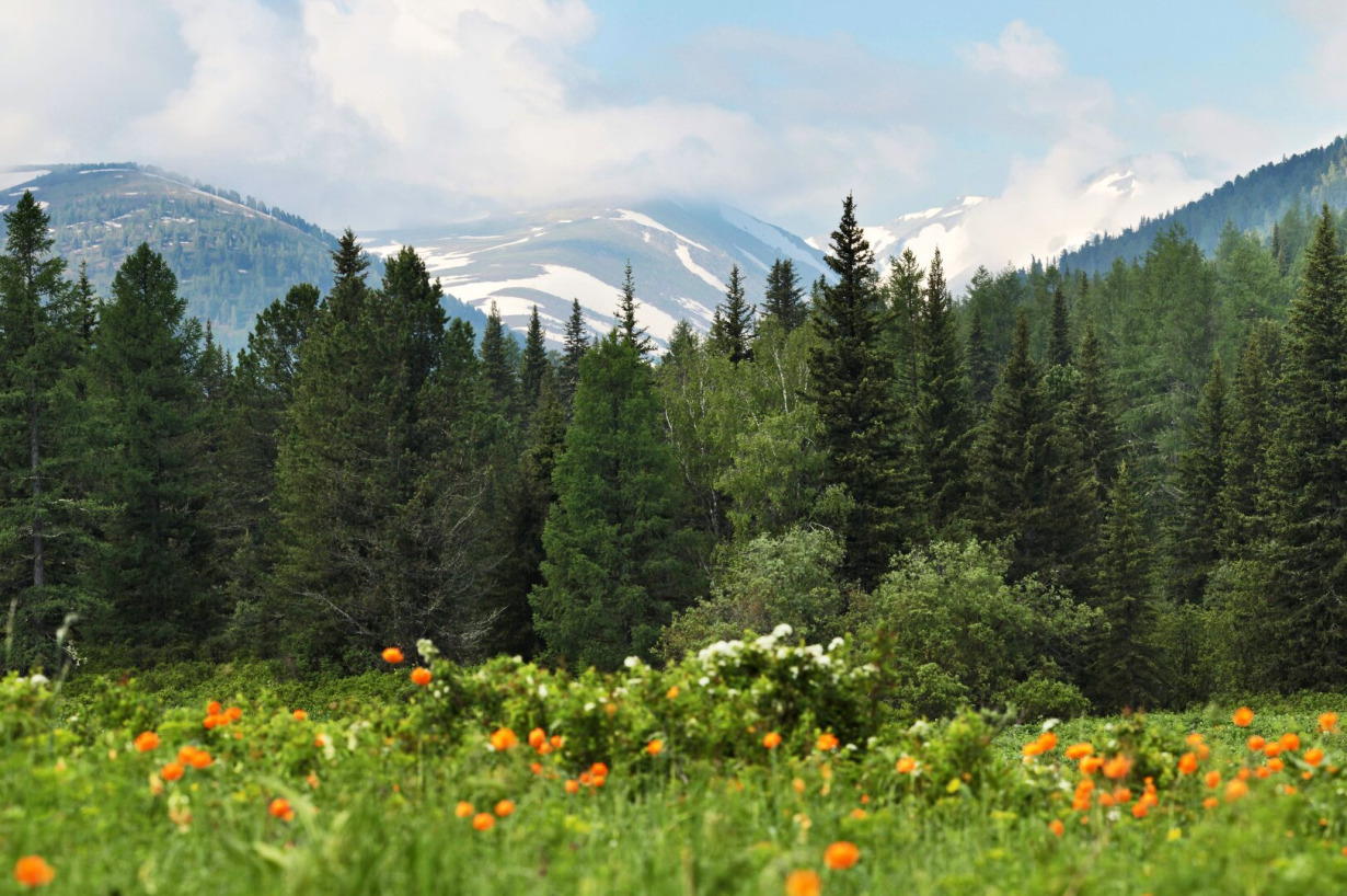 Sibiras - Visuotinė lietuvių enciklopedija