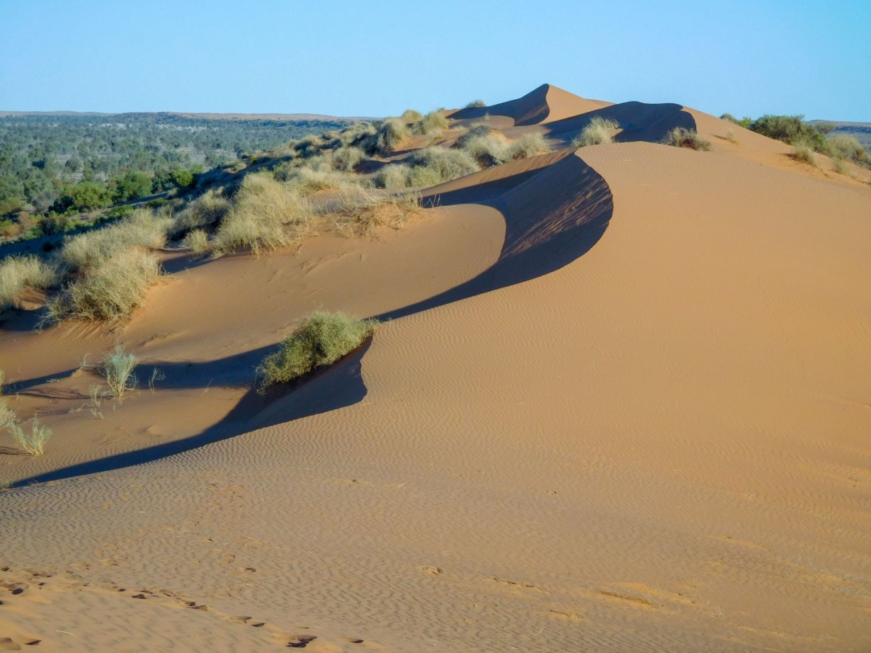 Simpsono dykuma - Visuotinė lietuvių enciklopedija