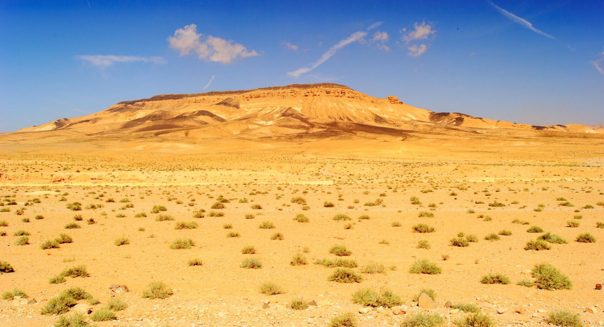 Sirijos dykuma - Visuotinė lietuvių enciklopedija