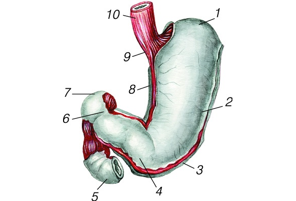 skrandis - Visuotinė lietuvių enciklopedija