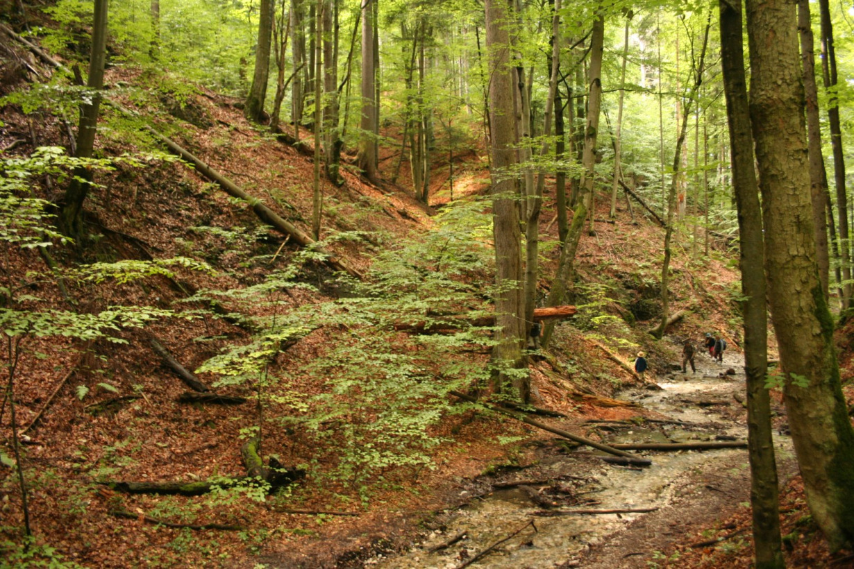 Slovakijos rojaus nacionalinis parkas - Visuotinė lietuvių enciklopedija