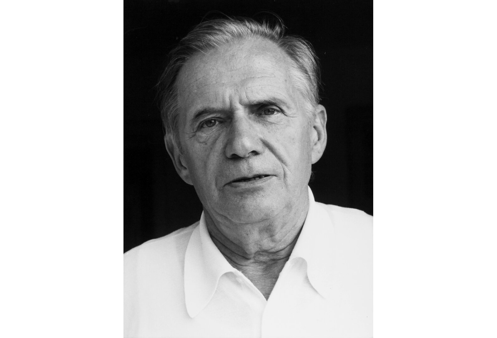 Otto Steiger - Visuotinė lietuvių enciklopedija