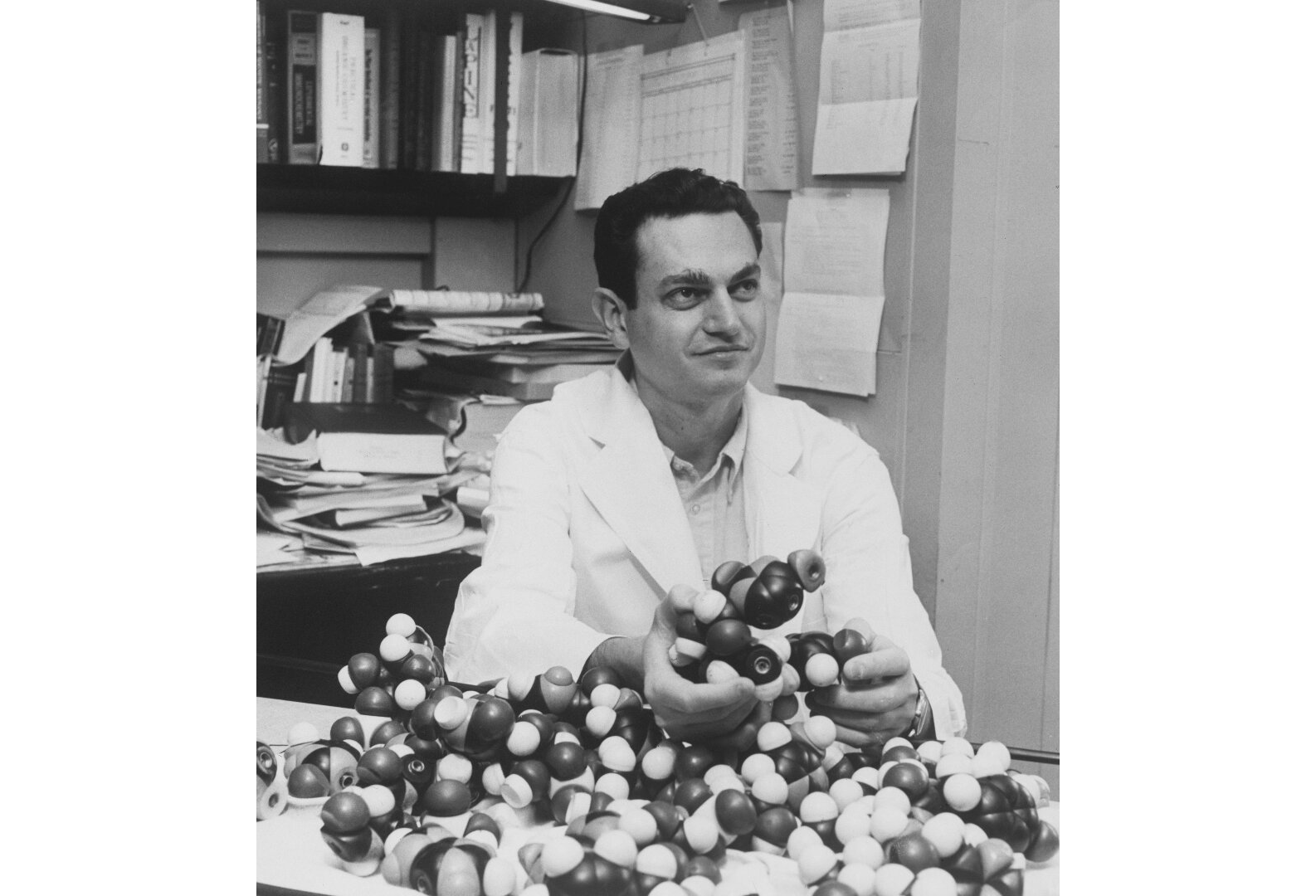 Marshall Warren Nirenberg - Visuotinė lietuvių enciklopedija