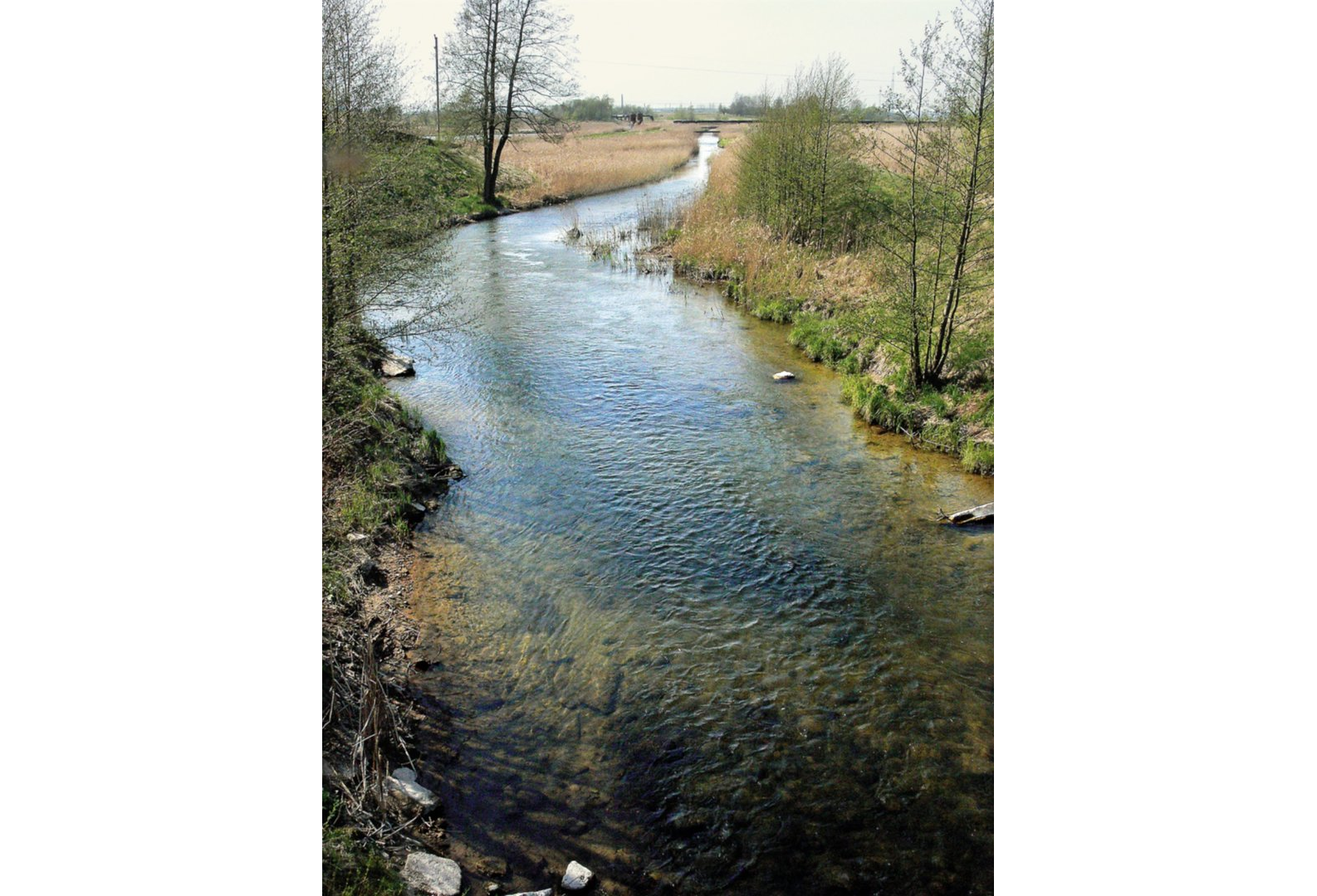 Strėva - Visuotinė lietuvių enciklopedija