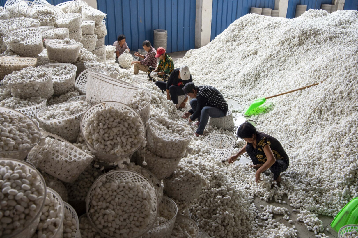 šilko pramonė - Visuotinė lietuvių enciklopedija