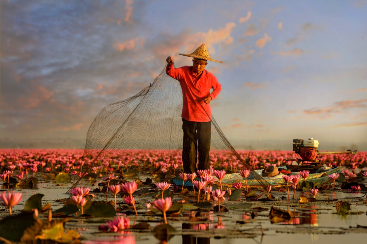 tajai konai - Visuotinė lietuvių enciklopedija