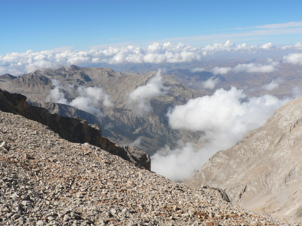 Tauras - Visuotinė lietuvių enciklopedija