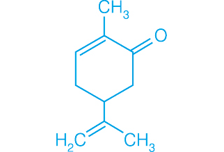 terpenoidai - Visuotinė lietuvių enciklopedija