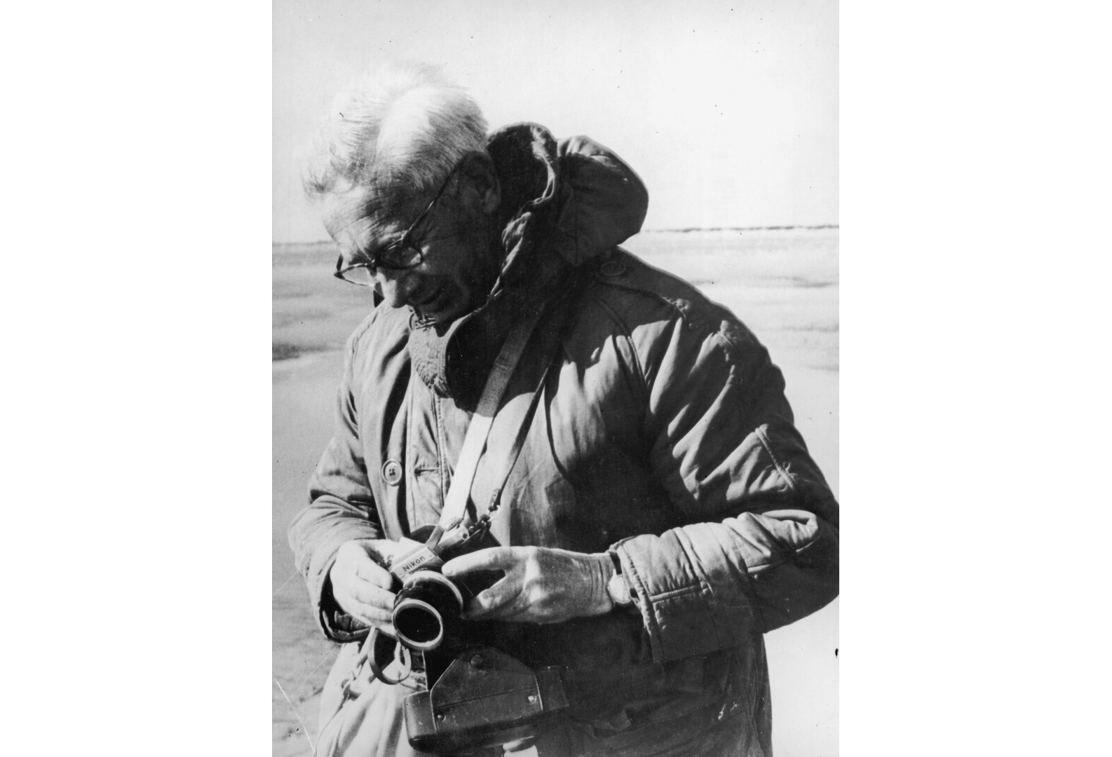 Nikolaas Tinbergen - Visuotinė lietuvių enciklopedija