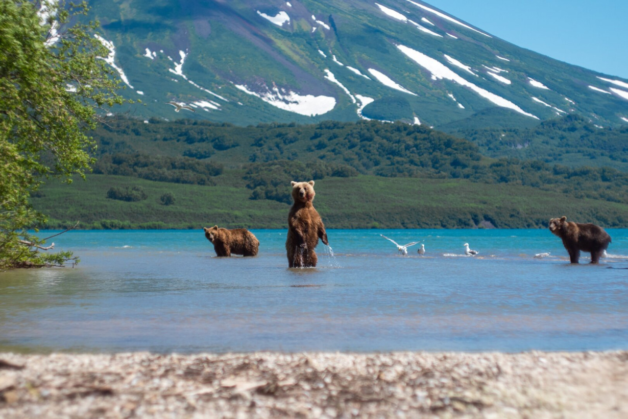 Tolimieji Rytai - Visuotinė lietuvių enciklopedija