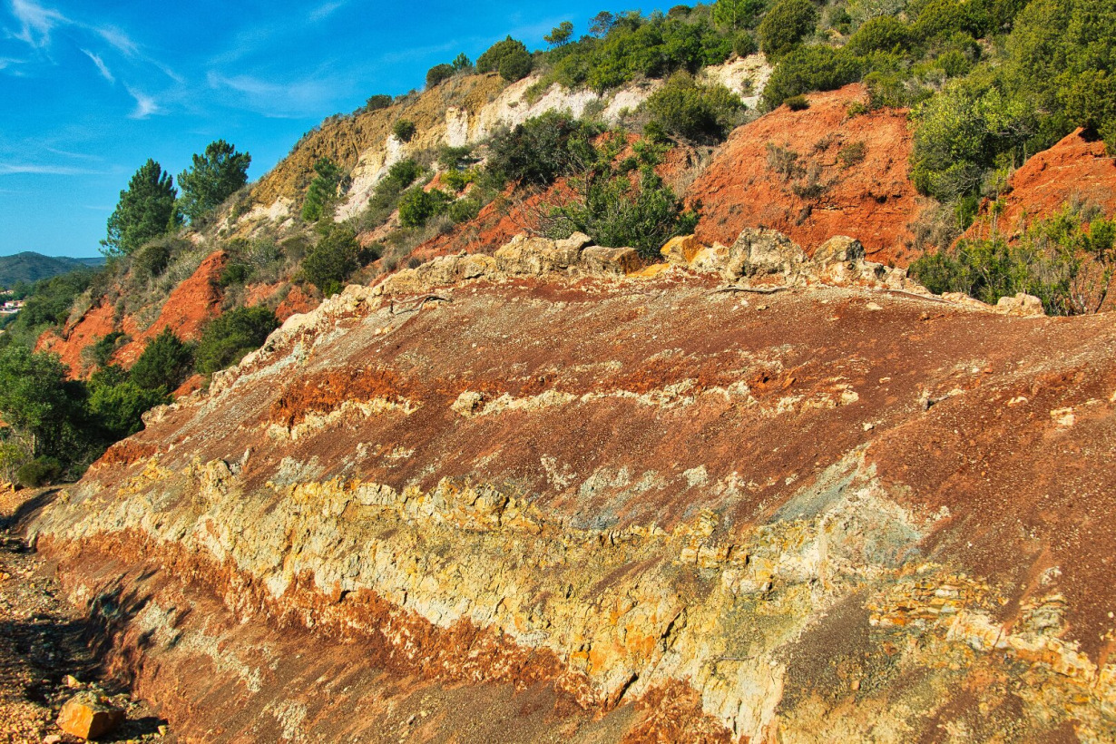 triasas - Visuotinė lietuvių enciklopedija