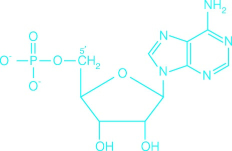 nukleotidai - Visuotinė lietuvių enciklopedija
